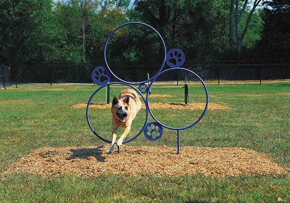 Dog Park – All Things Recreation